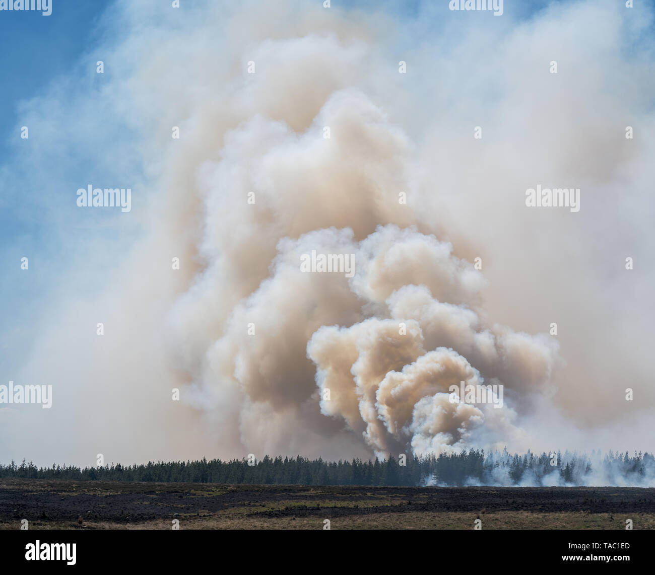 16 & 17 May 2019, Dunphail, Moray, Scotland, UK. This is scenes from a ...
