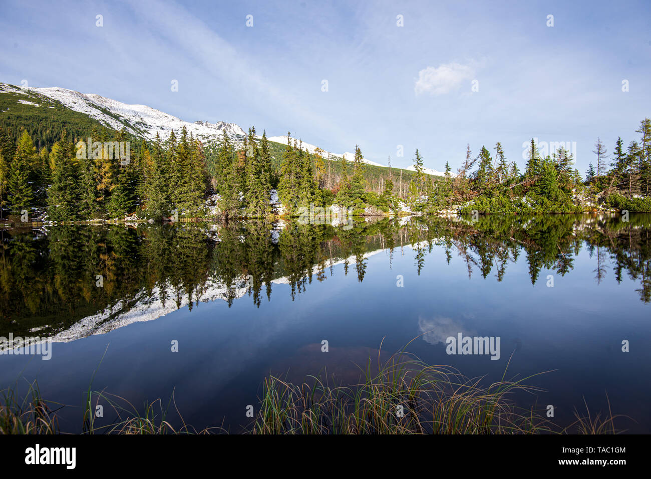 slovakia Tatra mountain lakes in misty weather in summer with mountain ...