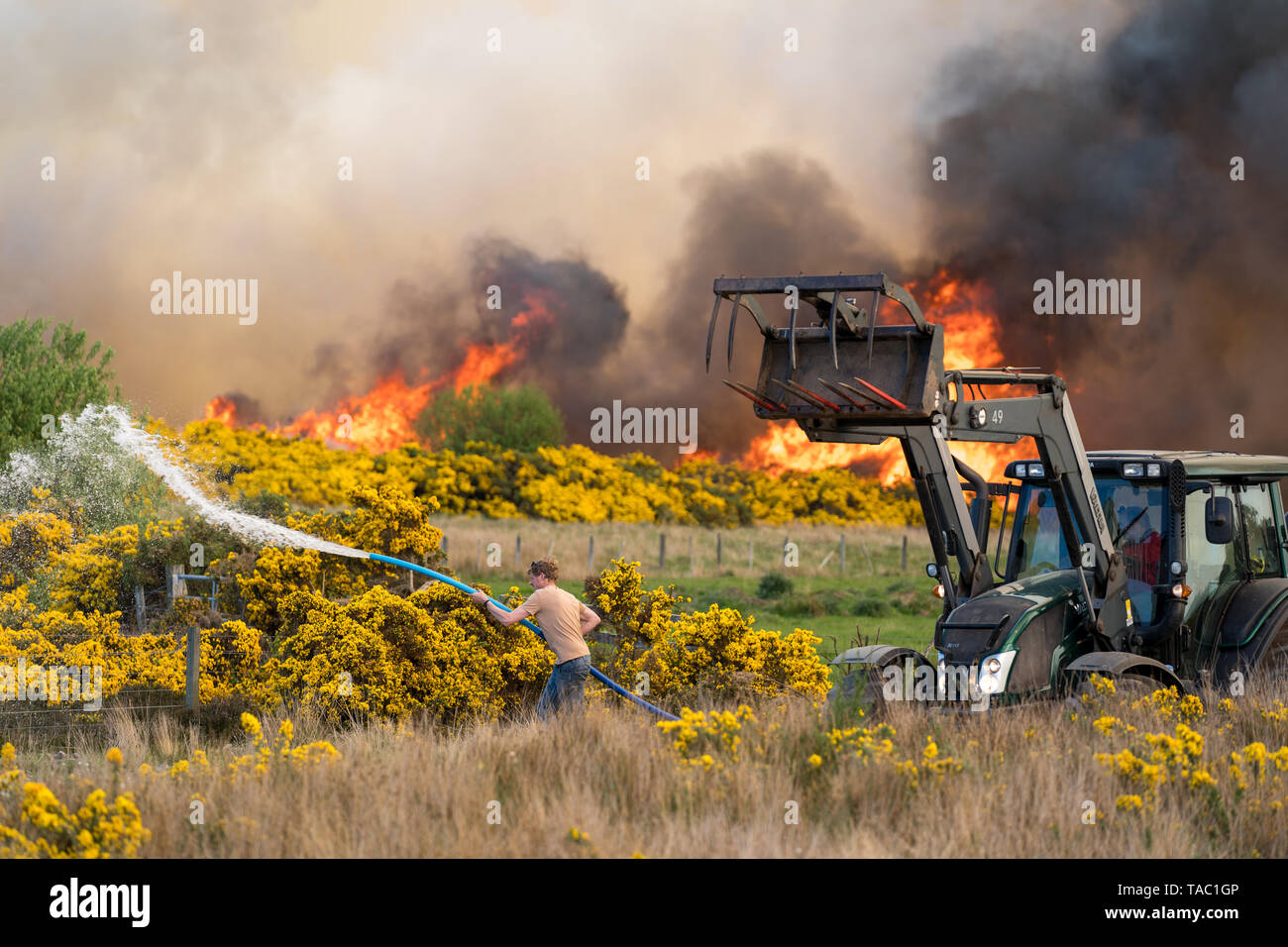 16 & 17 May 2019, Dunphail, Moray, Scotland, UK. This is scenes from a ...