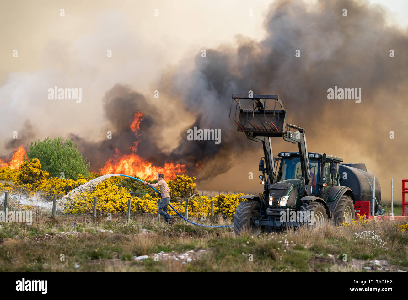 16 & 17 May 2019, Dunphail, Moray, Scotland, UK. This is scenes from a ...