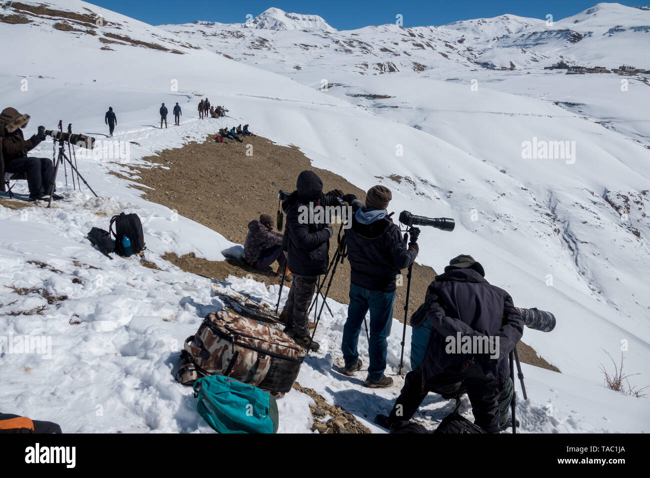 Photographers waiting for snow leopard in icy mountains, Winter drive ...