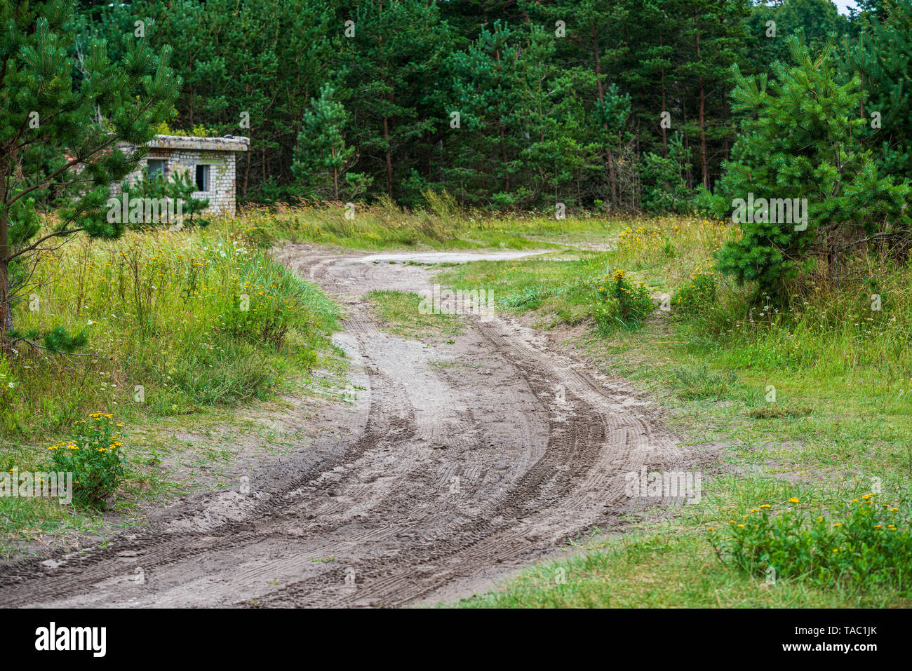 old wooden plank building structure in countryside. loneliness and ...