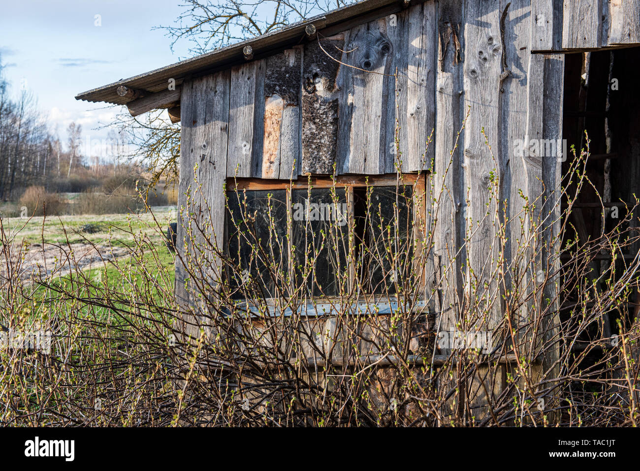 old wooden plank building structure in countryside. loneliness and ...
