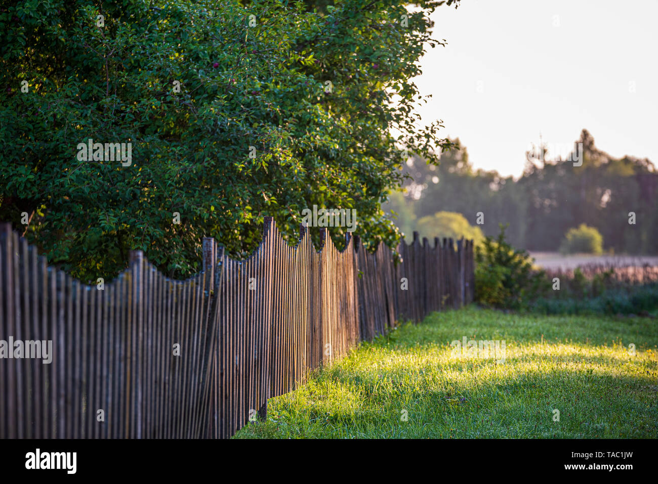 old wooden plank building structure in countryside. loneliness and ...