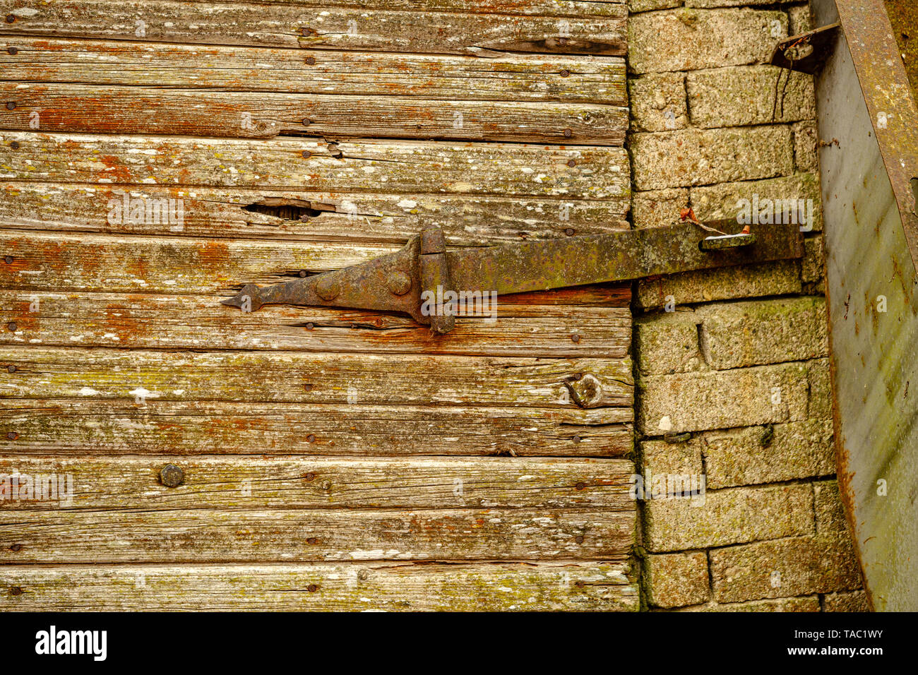 old wooden plank building structure in countryside. loneliness and ...