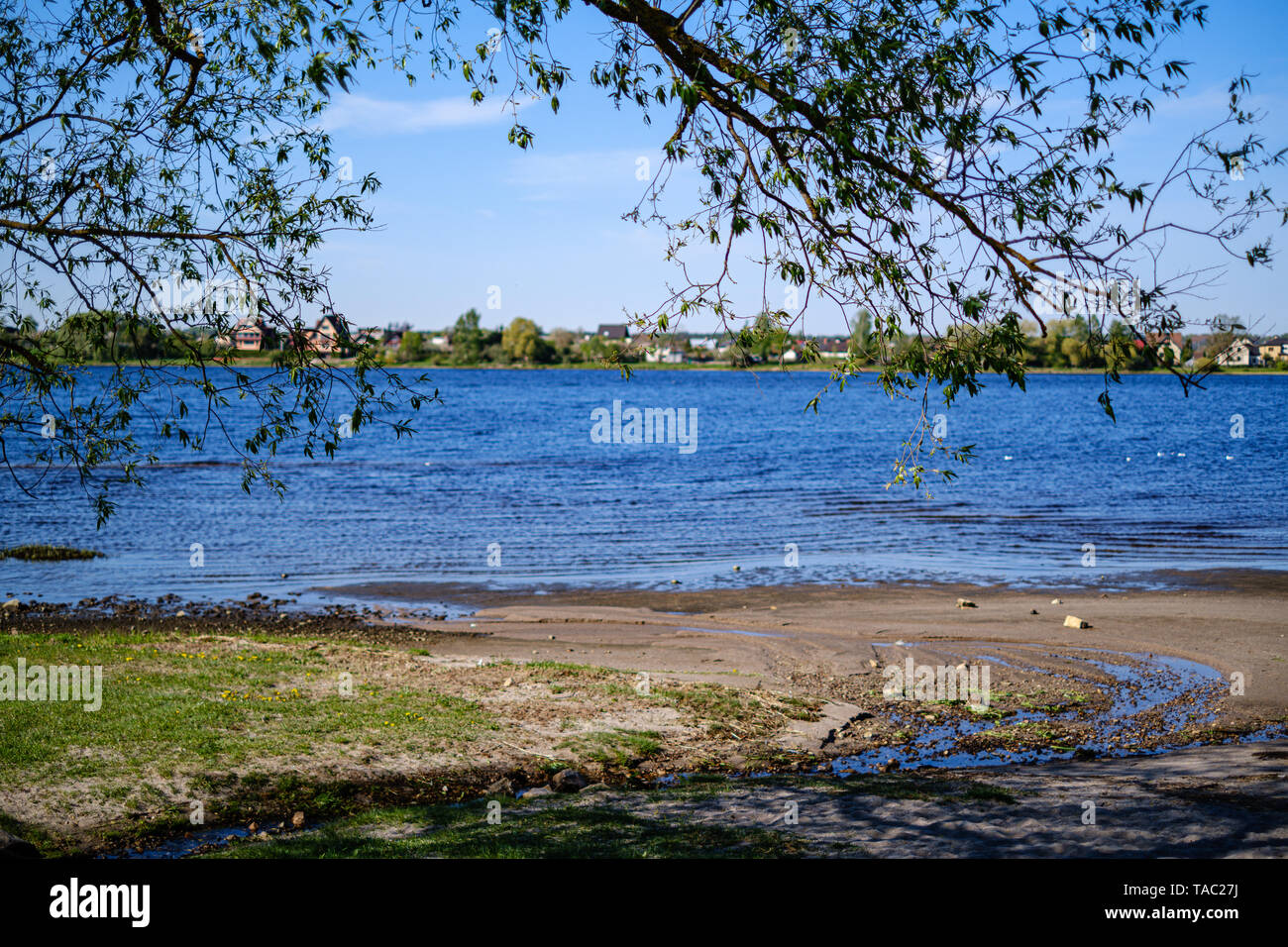 riverside shore in spring with scenic trees and green pastures. calm ...
