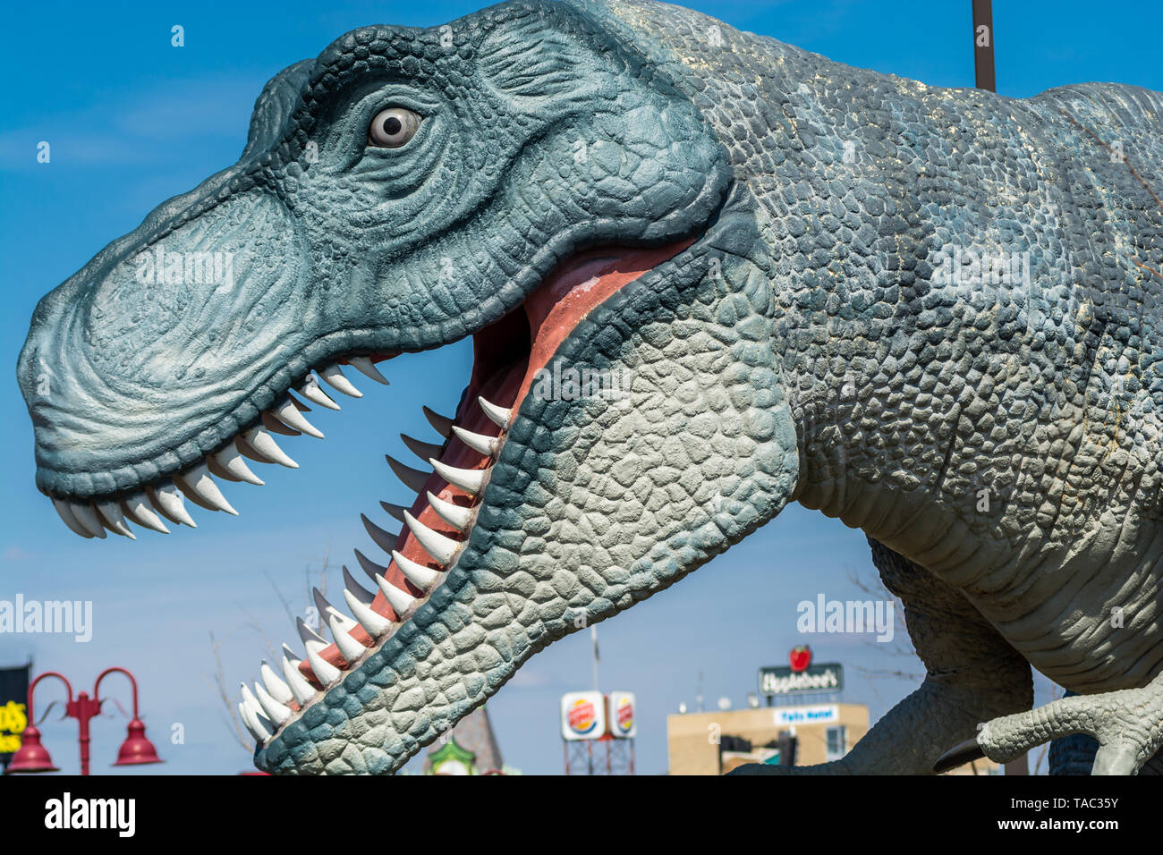 Colorful dinosaurs showing great detail and texture Stock Photo - Alamy