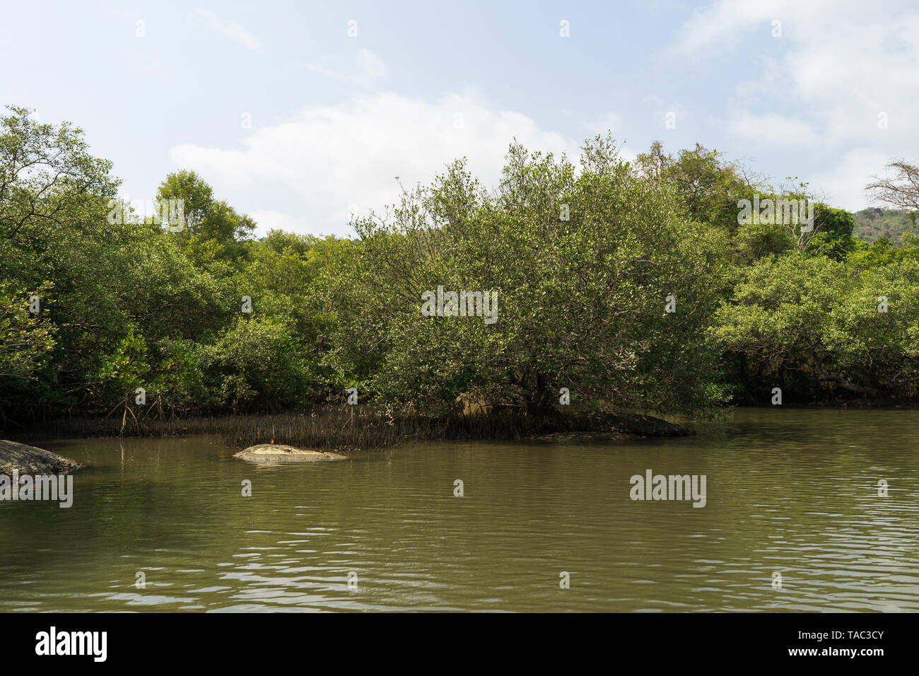 Beautiful sunny day on river in Palolem Goa India. Colorful nature and ...