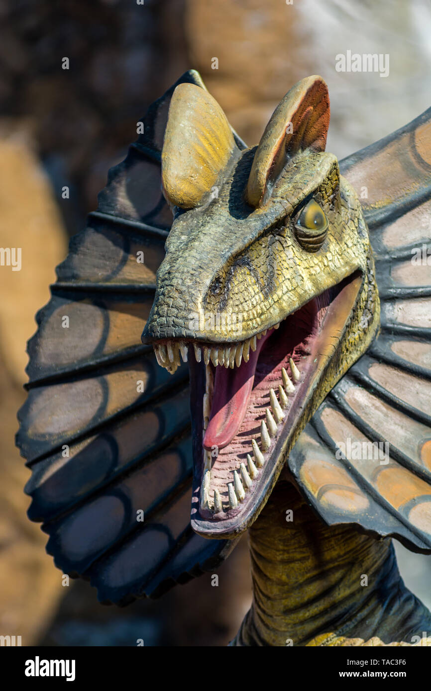 Colorful dinosaurs showing great detail and texture Stock Photo - Alamy
