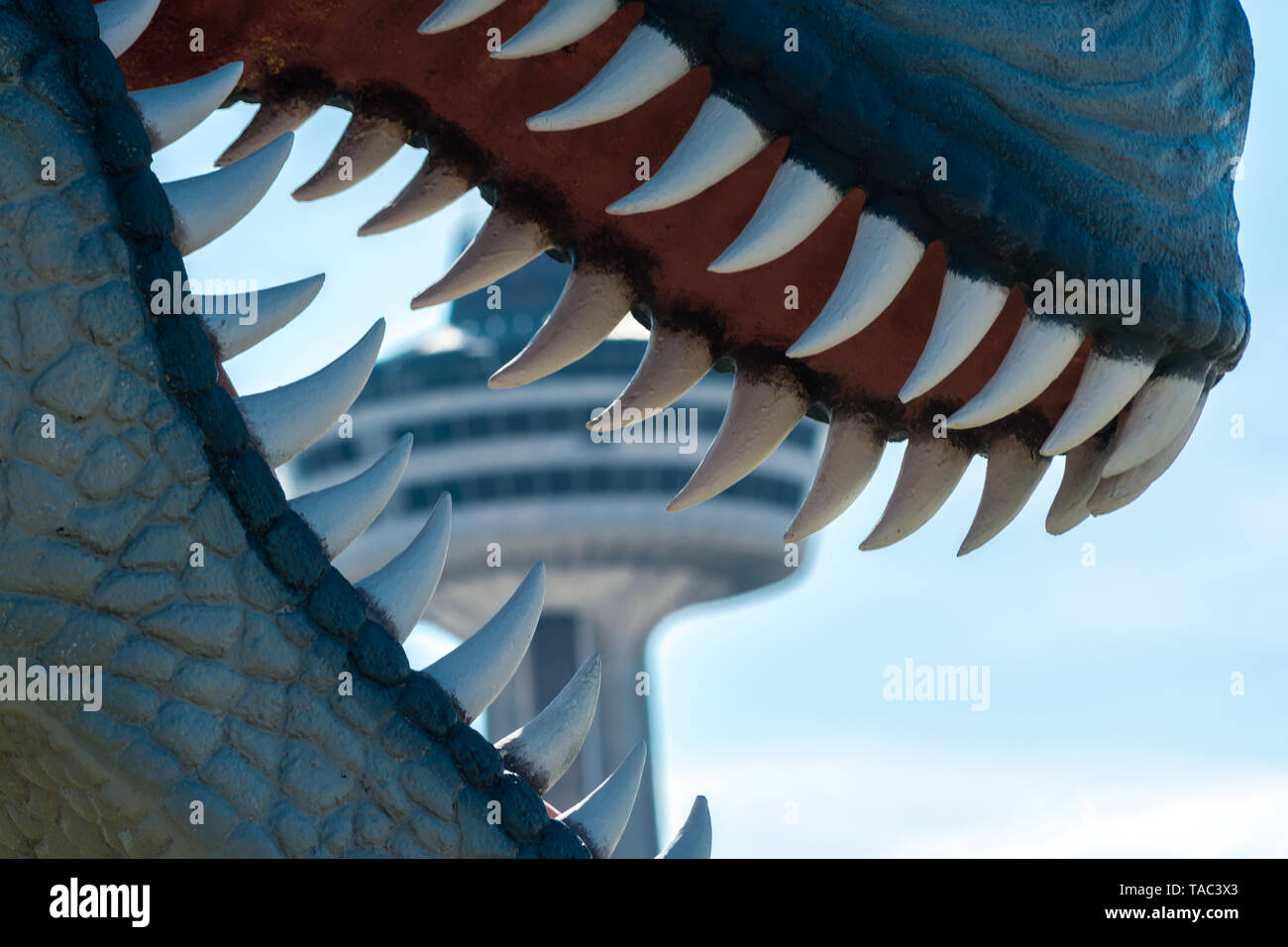 Colorful dinosaurs showing great detail and texture Stock Photo - Alamy