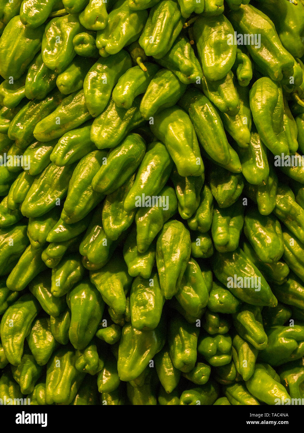 Small green peppers, closeup, full frame Stock Photo - Alamy