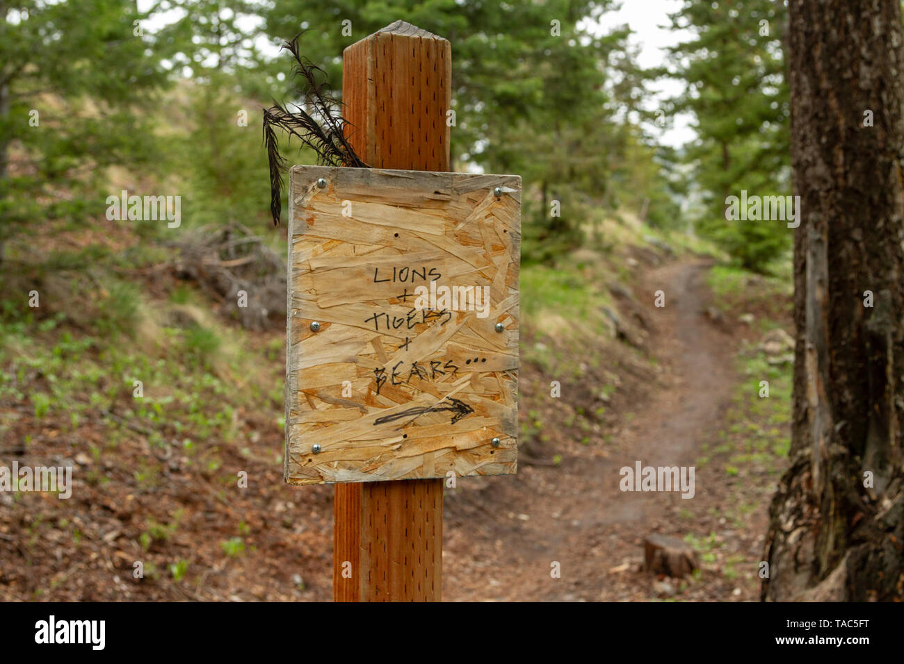Prickly pear land trust hi-res stock photography and images - Alamy