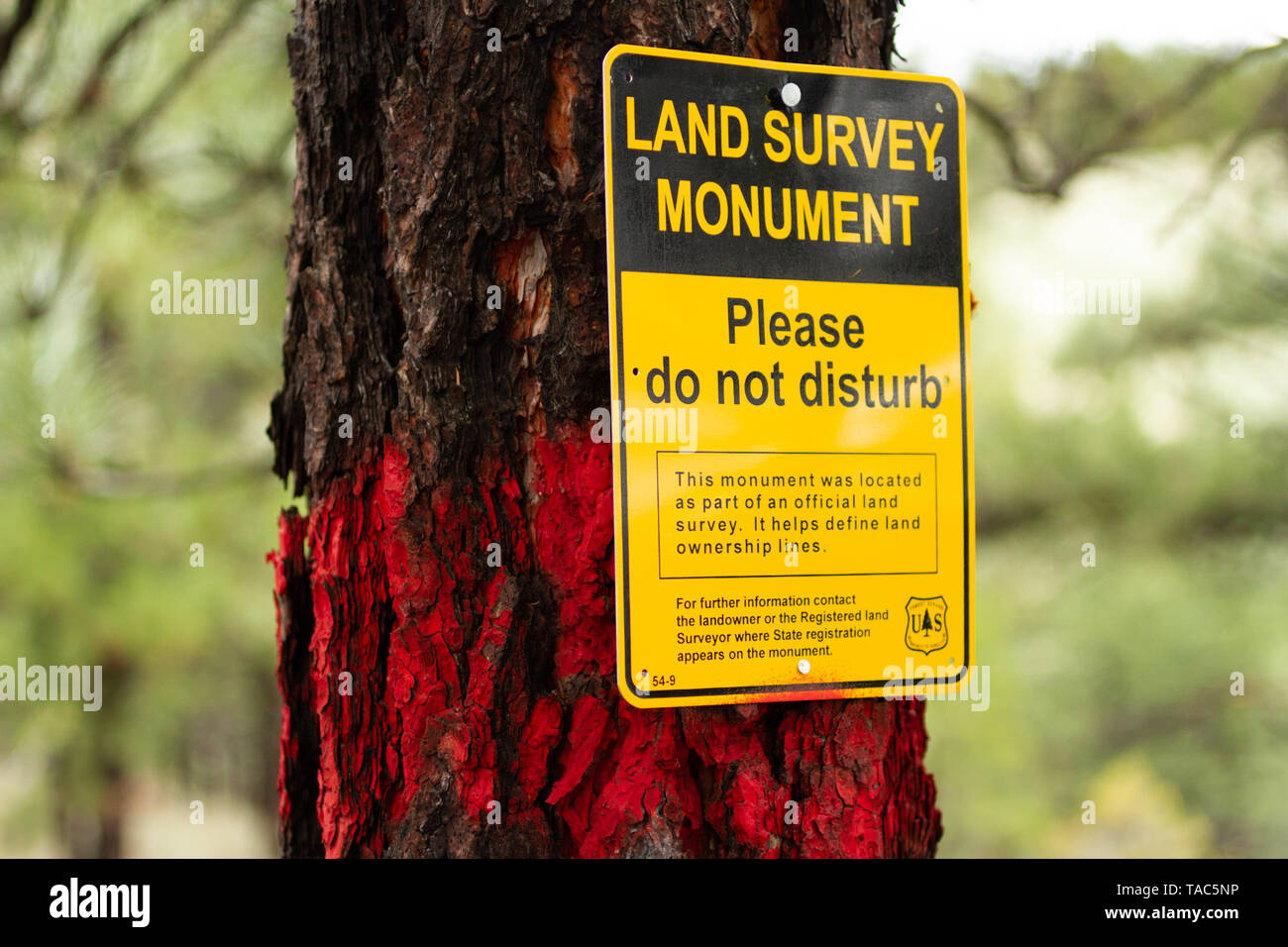 Land Survey Monument US Forest Service sign, Helena National Forest ...