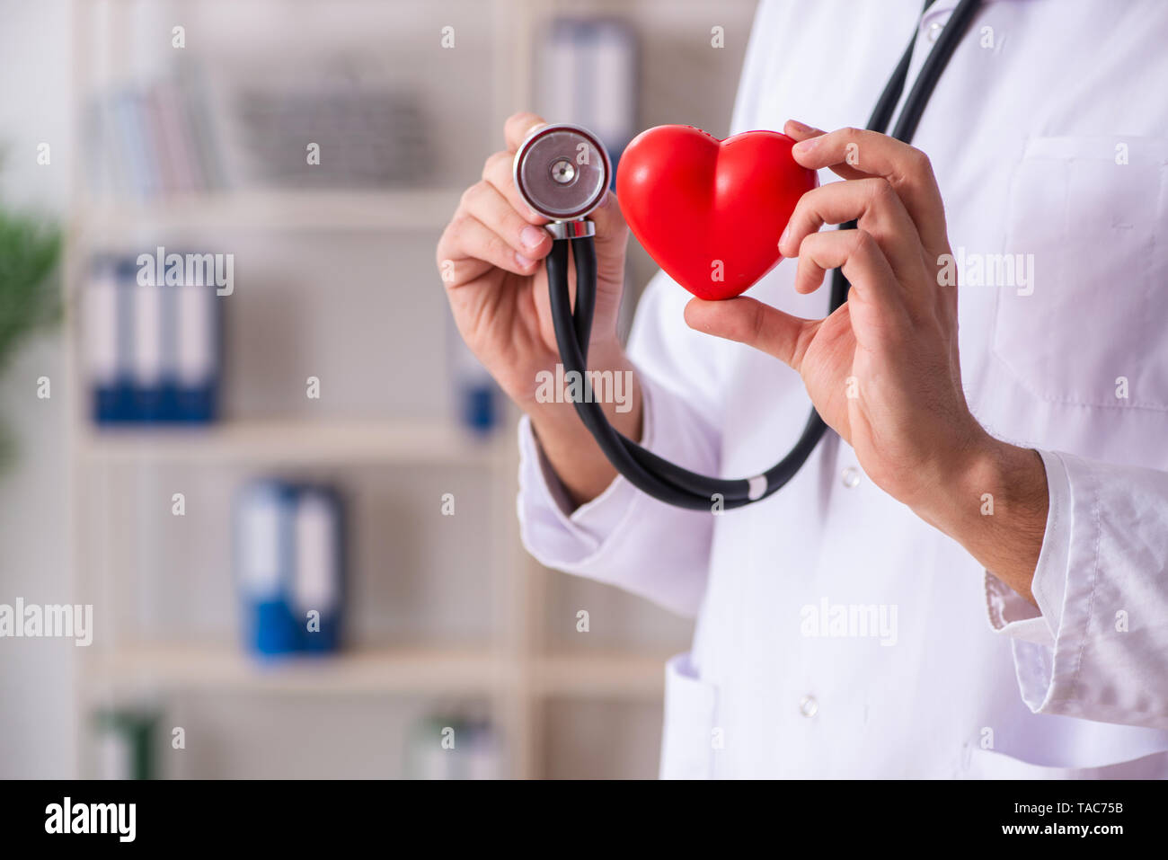 Male doctor cardiologist holding heart model Stock Photo - Alamy