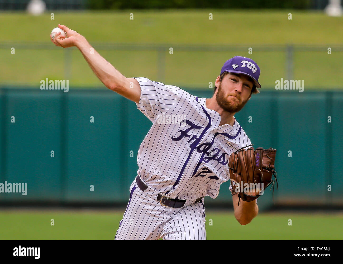 Frogs and king hi-res stock photography and images - Alamy