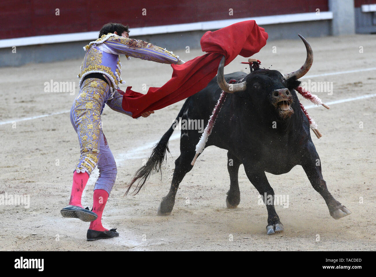 French matador Sebastian Castella is seen performing with a Jandilla ...