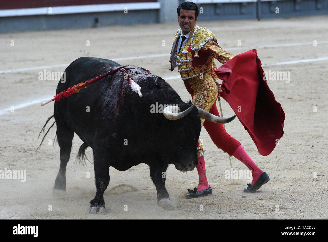 Spanish matador Emilio de Justo is seen performing with a Jandilla ...