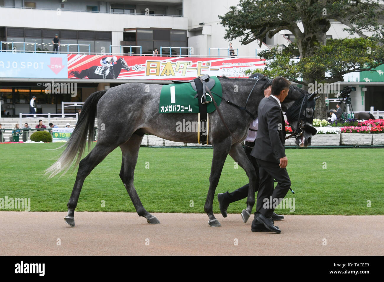 Kyoto, Japan. 18th May, 2019. Omega Perfume Horse Racing : Omega ...