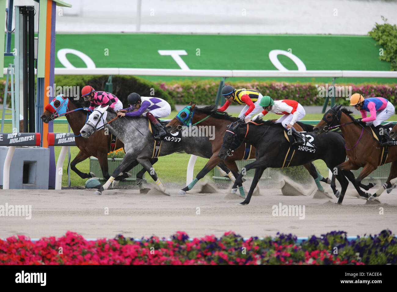 L R Smart High Resolution Stock Photography and Images - Alamy