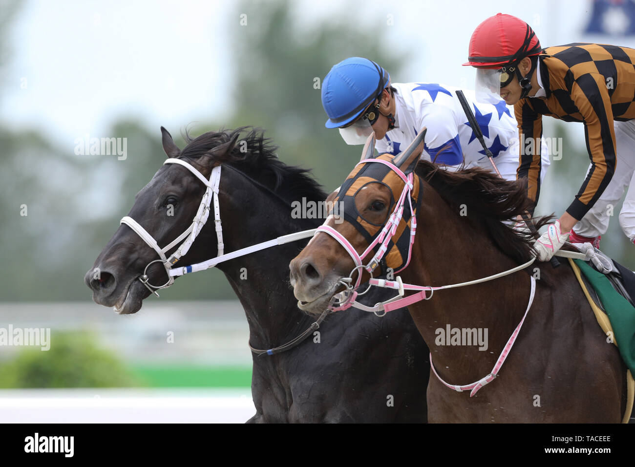 Kyoto, Japan. 18th May, 2019. (L-R) Chuwa Wizard (Yuga Kawada), Mozu ...