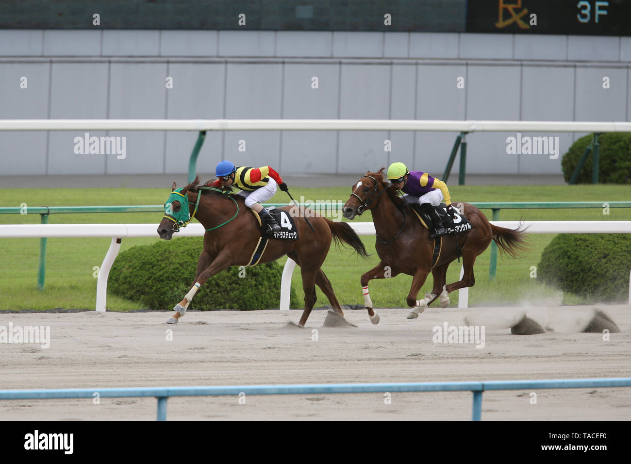 Kyoto, Japan. 19th May, 2019. (L-R) Madras Check (Takuya Ono), Reward ...
