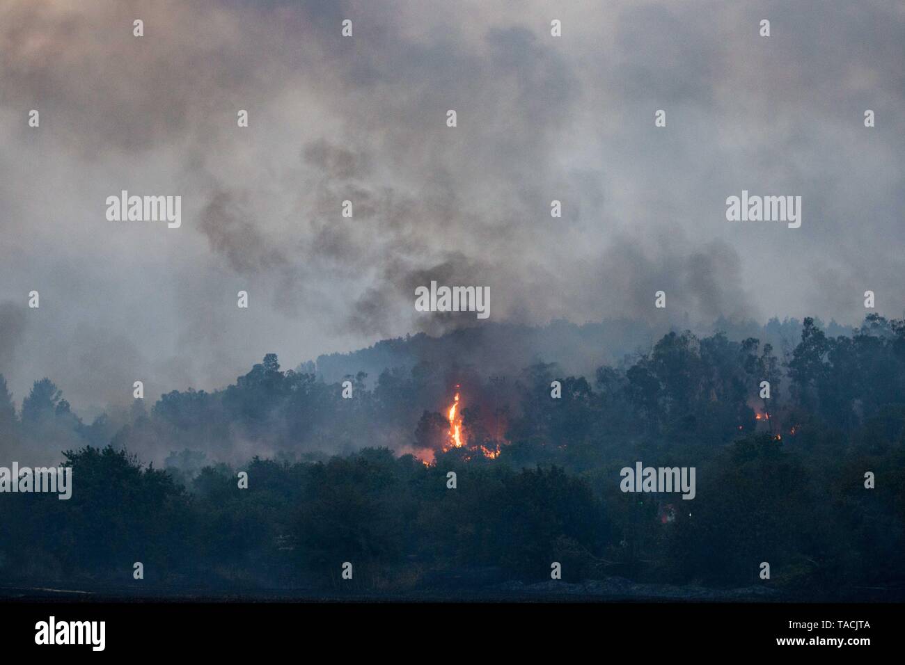Kibbutz Harel, Israel. 23rd May, 2019. A forest fire is pictured near ...