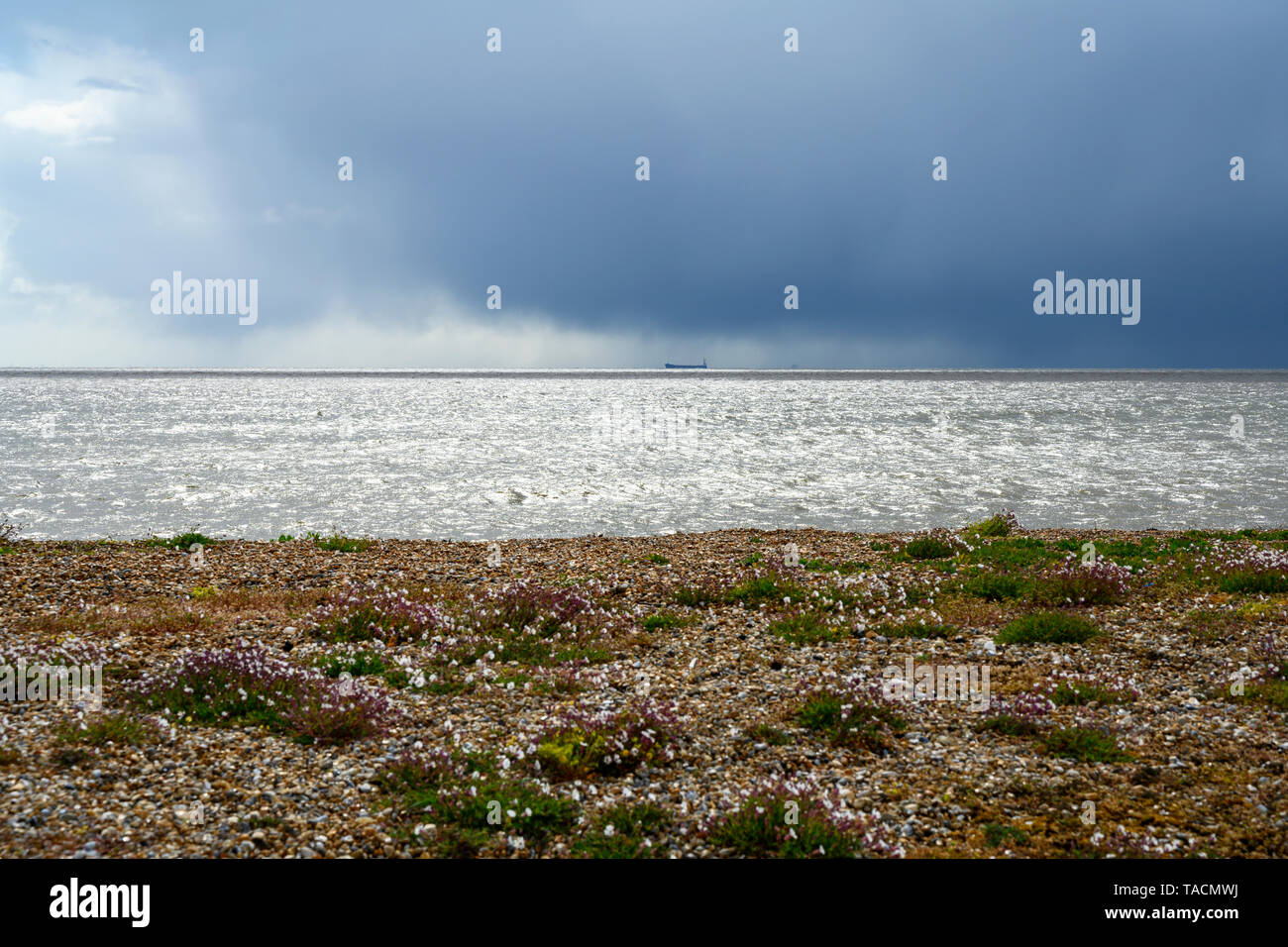 Rain england coast hi-res stock photography and images - Alamy