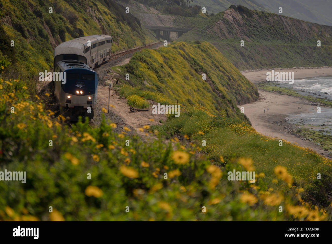 California Western Railroad High Resolution Stock Photography and ...