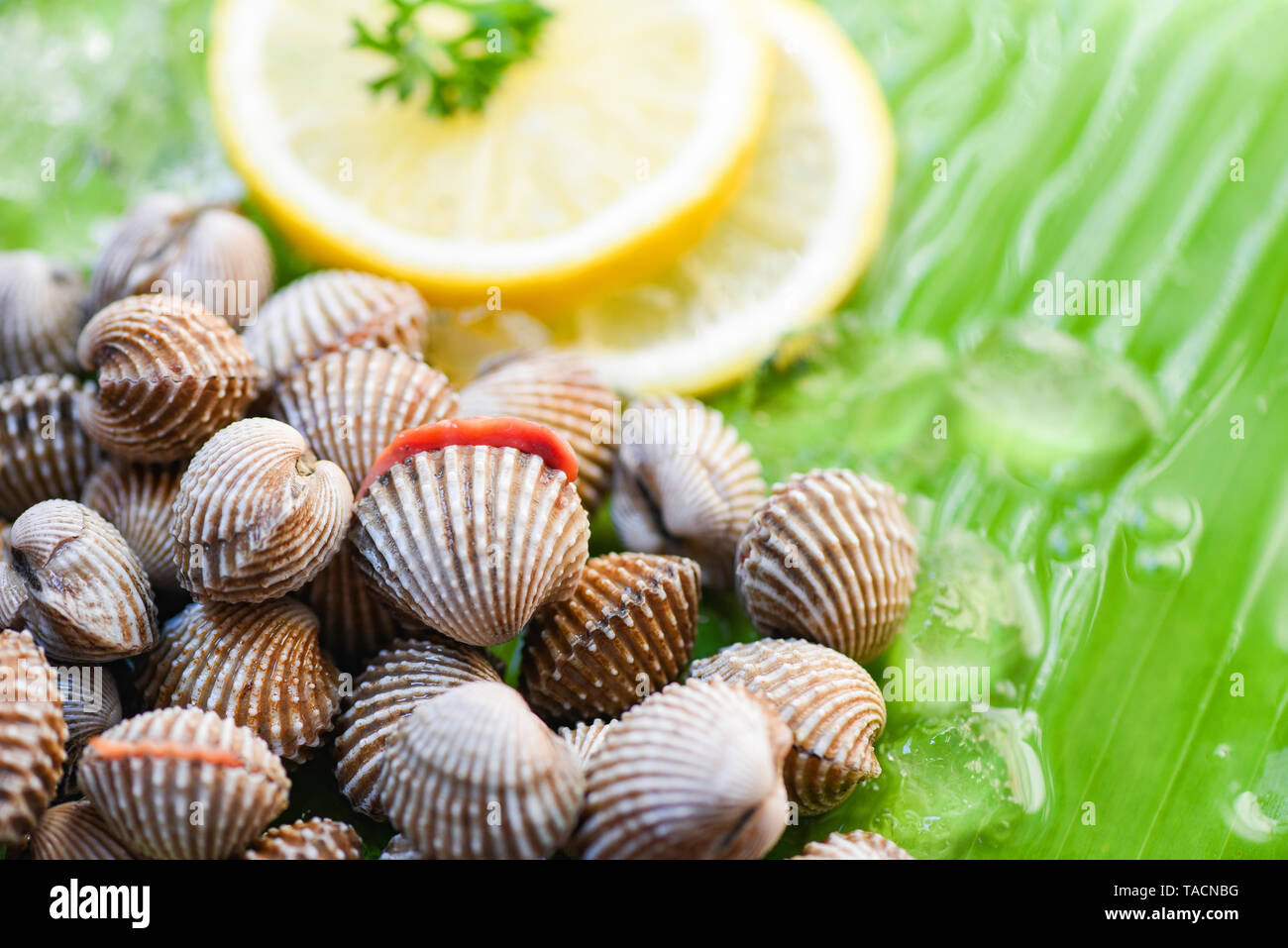 Prepared cockles hi-res stock photography and images - Alamy