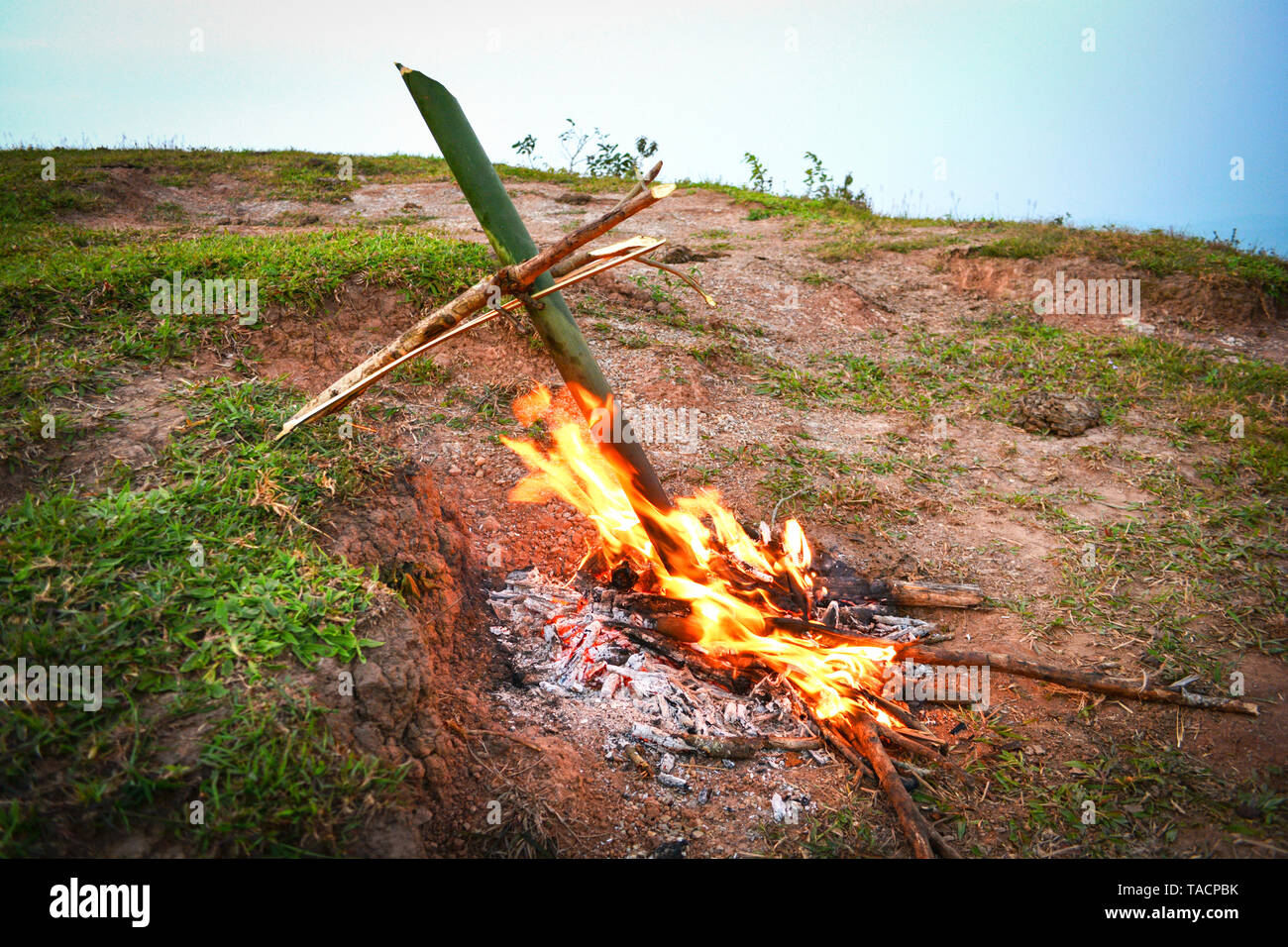 bamboo burn on fire for food boiled cooking nature / Survival the ...