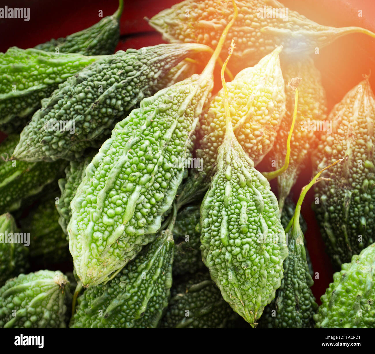 Bitter leaf africa hi-res stock photography and images - Alamy