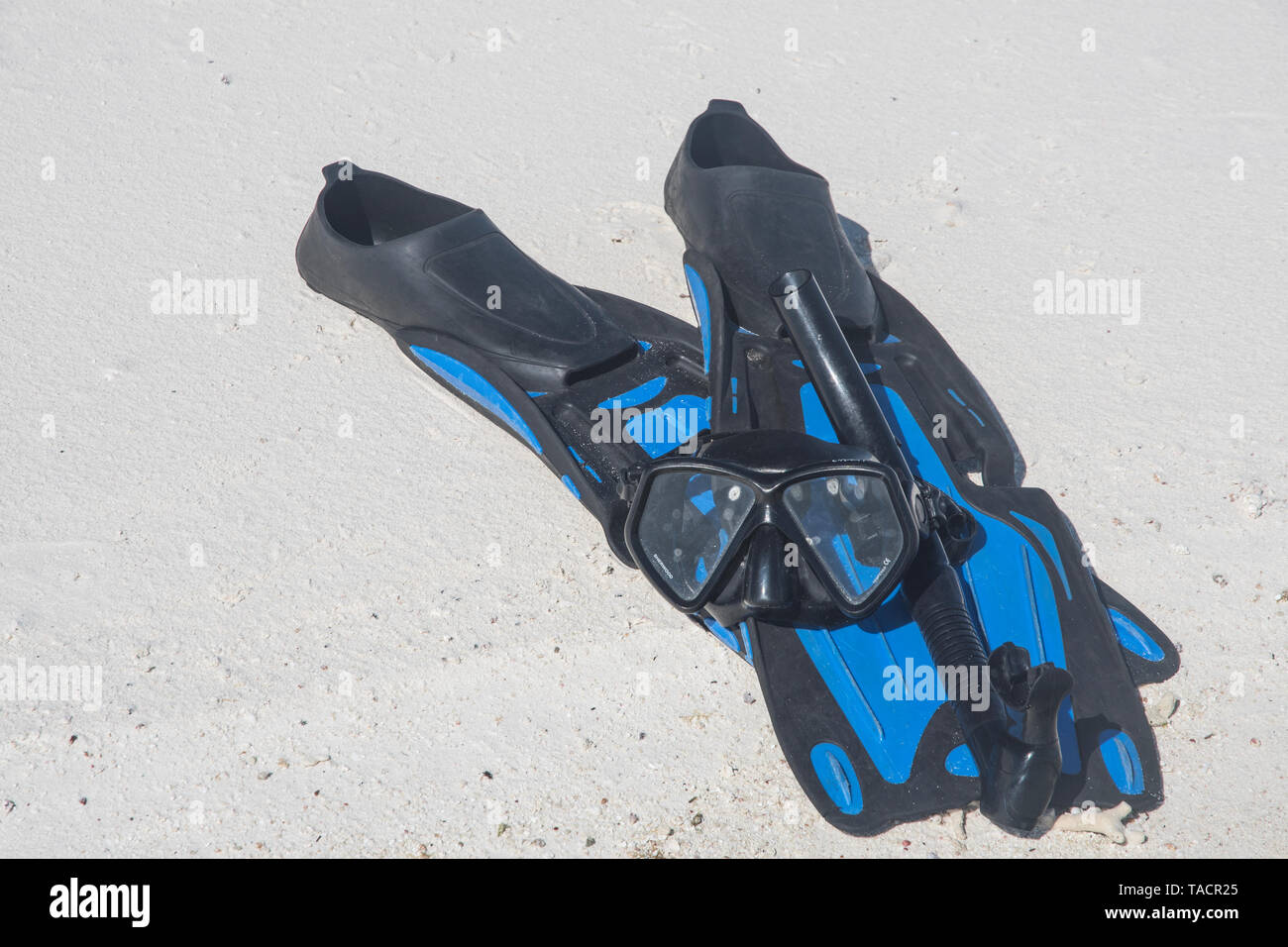 Diver woman illustration fins hi-res stock photography and images - Alamy