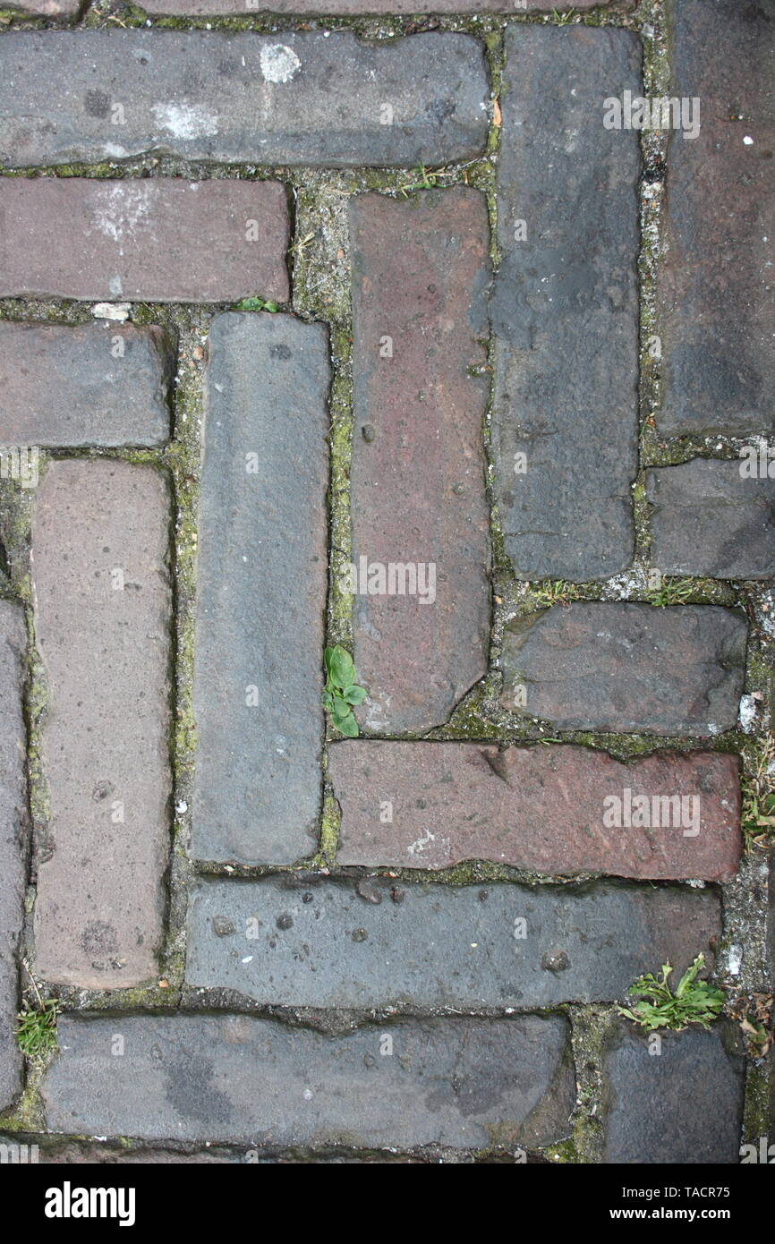 With rectangular colored stones laid pavement Stock Photo - Alamy