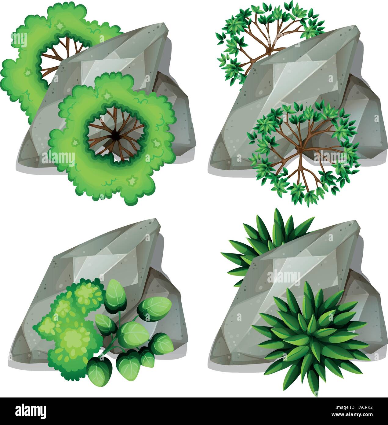 Set of nature rock and plant illustration Stock Vector Image & Art - Alamy