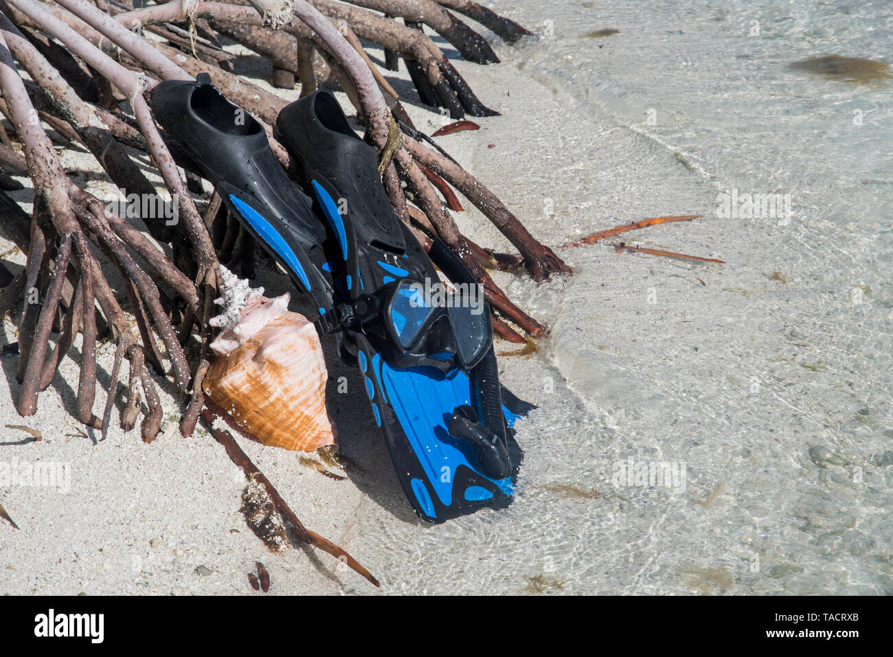 Flipper fins hi-res stock photography and images - Alamy
