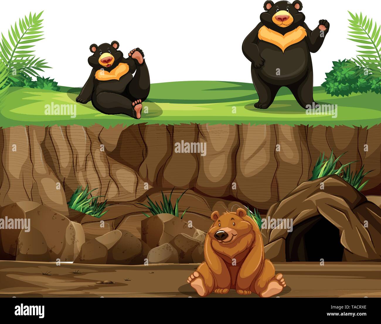 Cave bear drawing hi-res stock photography and images - Alamy