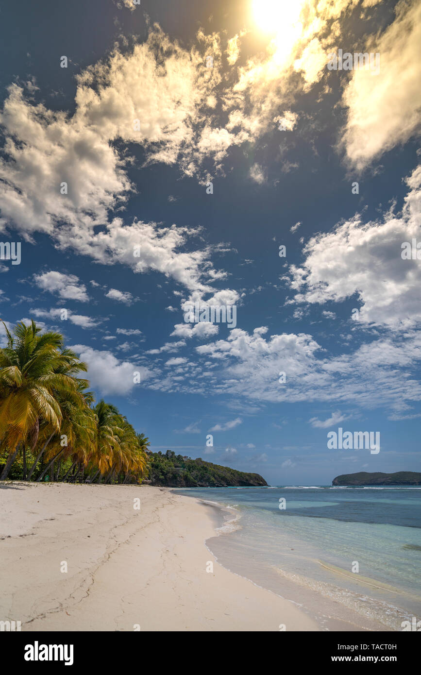 Mustique Island is an exclusive, paradise, getaway and Caribbean ...