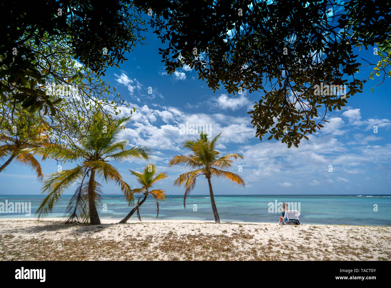 Mustique Island is an exclusive, paradise, getaway and Caribbean ...