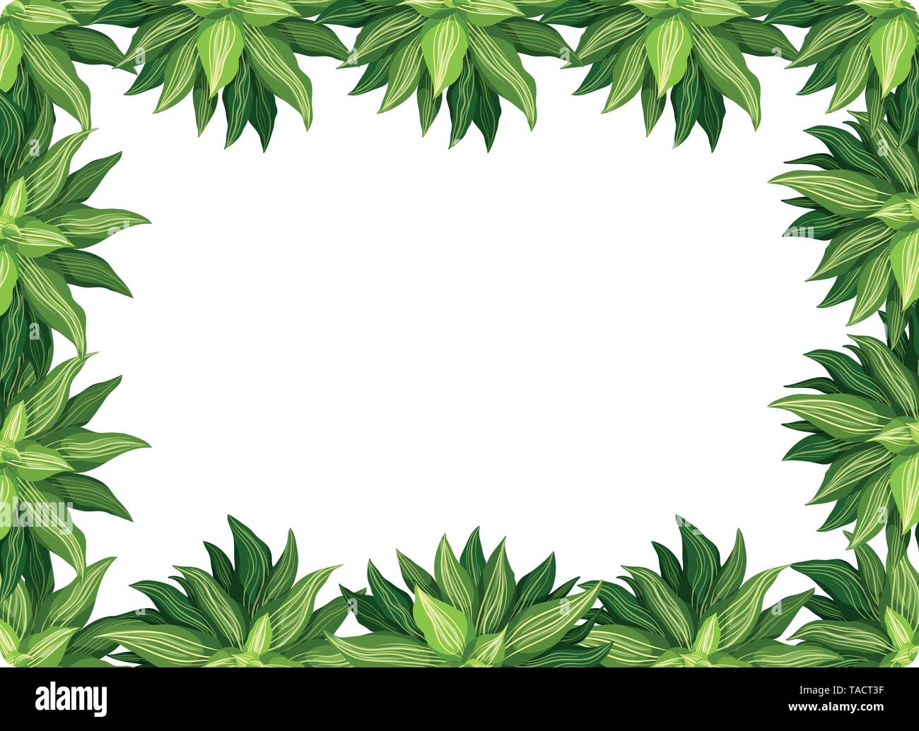 A nature leaf border illustration Stock Vector Image & Art - Alamy
