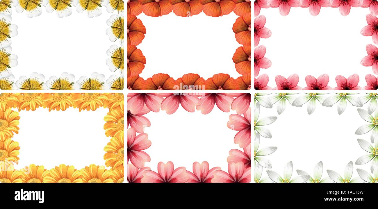 Set of flower border illustration Stock Vector Image & Art - Alamy