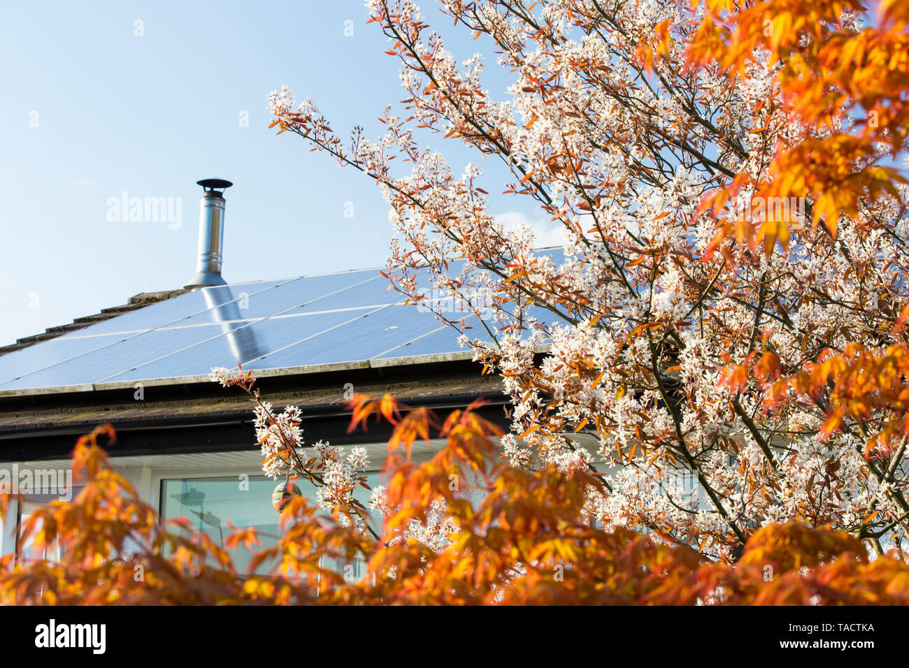Solar panels japanese house hi-res stock photography and images - Alamy