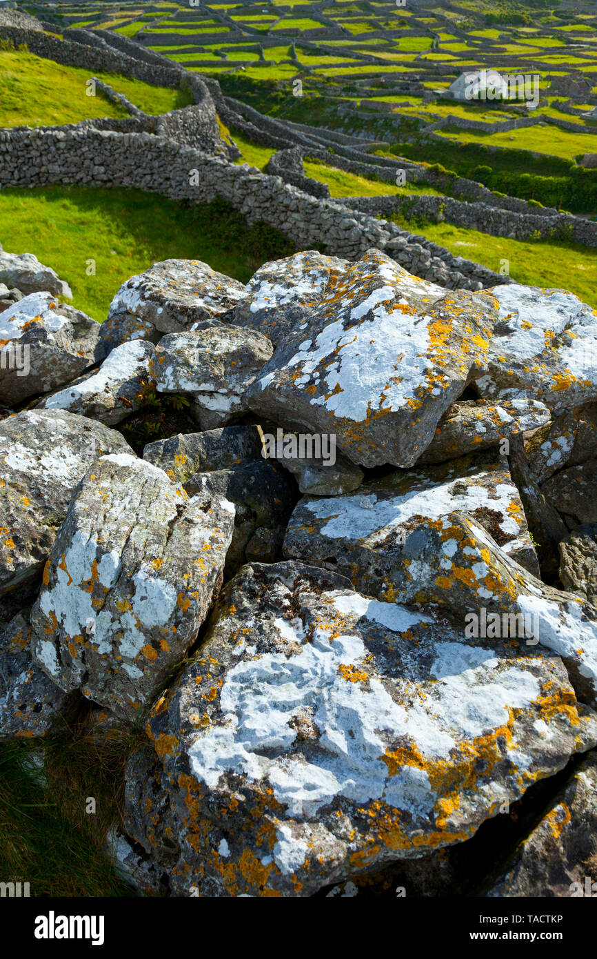 Inisheer Island - Inis Oirr. Aran Islands, Galway County, West Ireland ...