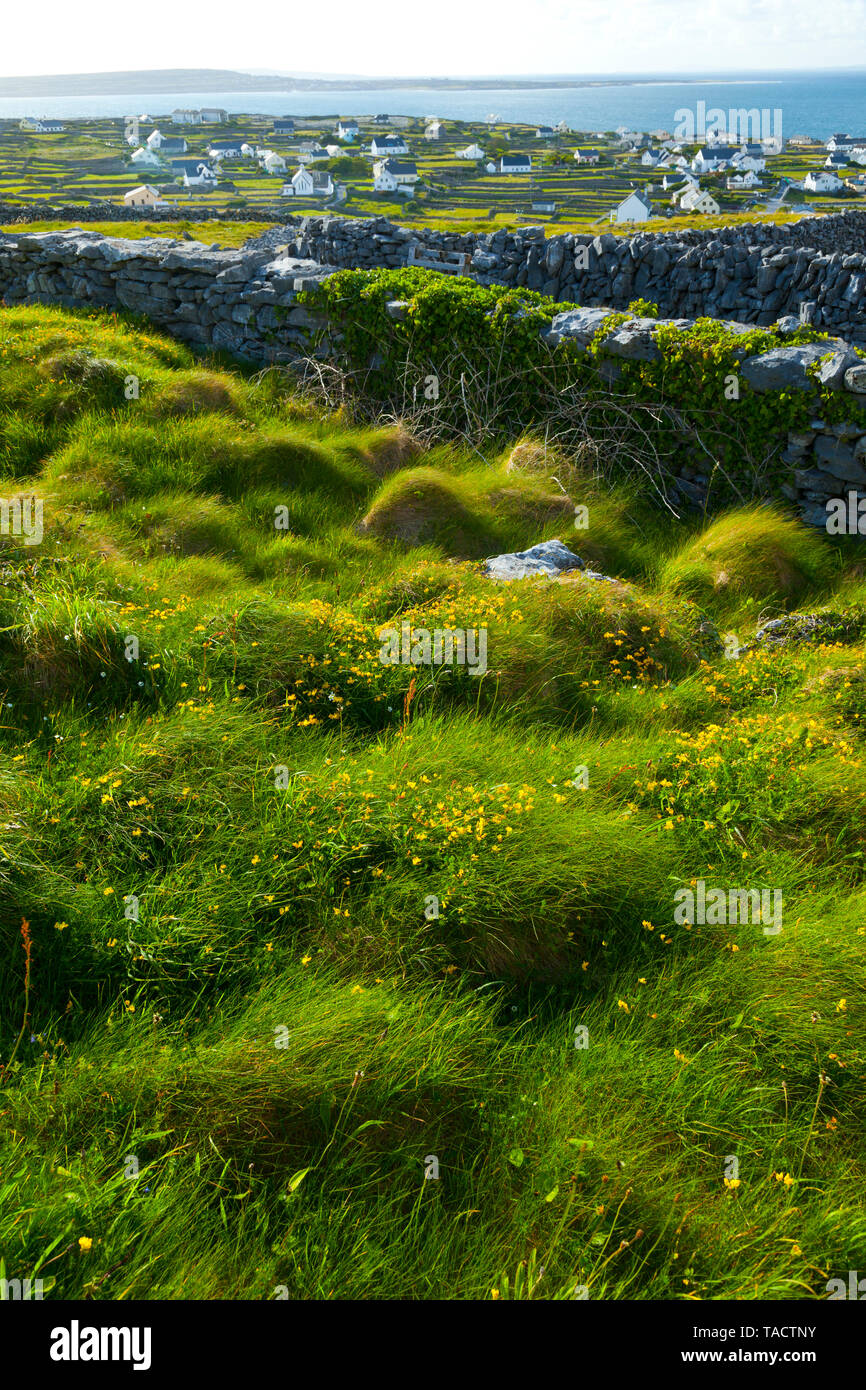 Inisheer Island - Inis Oirr. Aran Islands, Galway County, West Ireland ...