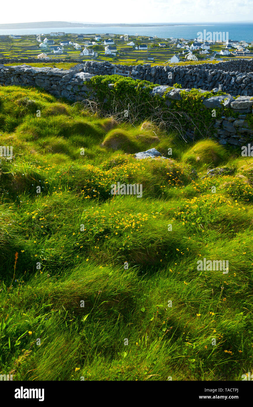 Inisheer Island - Inis Oirr. Aran Islands, Galway County, West Ireland ...