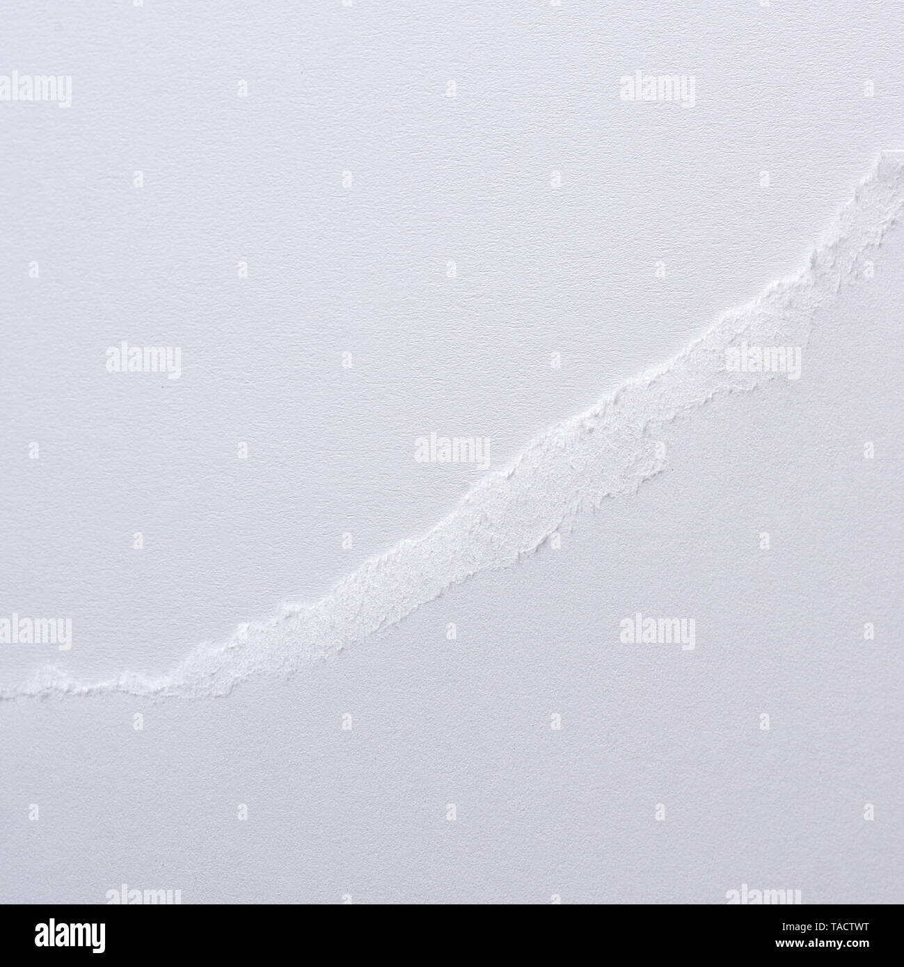 blank white sheet of paper torn, torn edge, close up Stock Photo - Alamy