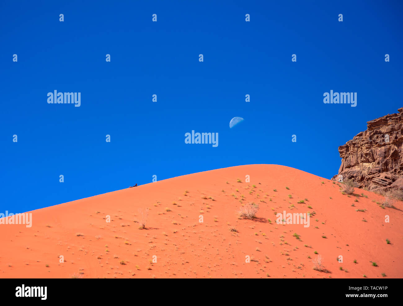 The red sand at the desert of Wadi Rum, Jordan Stock Photo - Alamy
