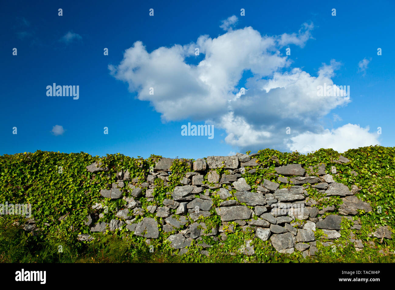 Southern Island. Inisheer Island - Inis Oirr. Aran Islands, Galway ...