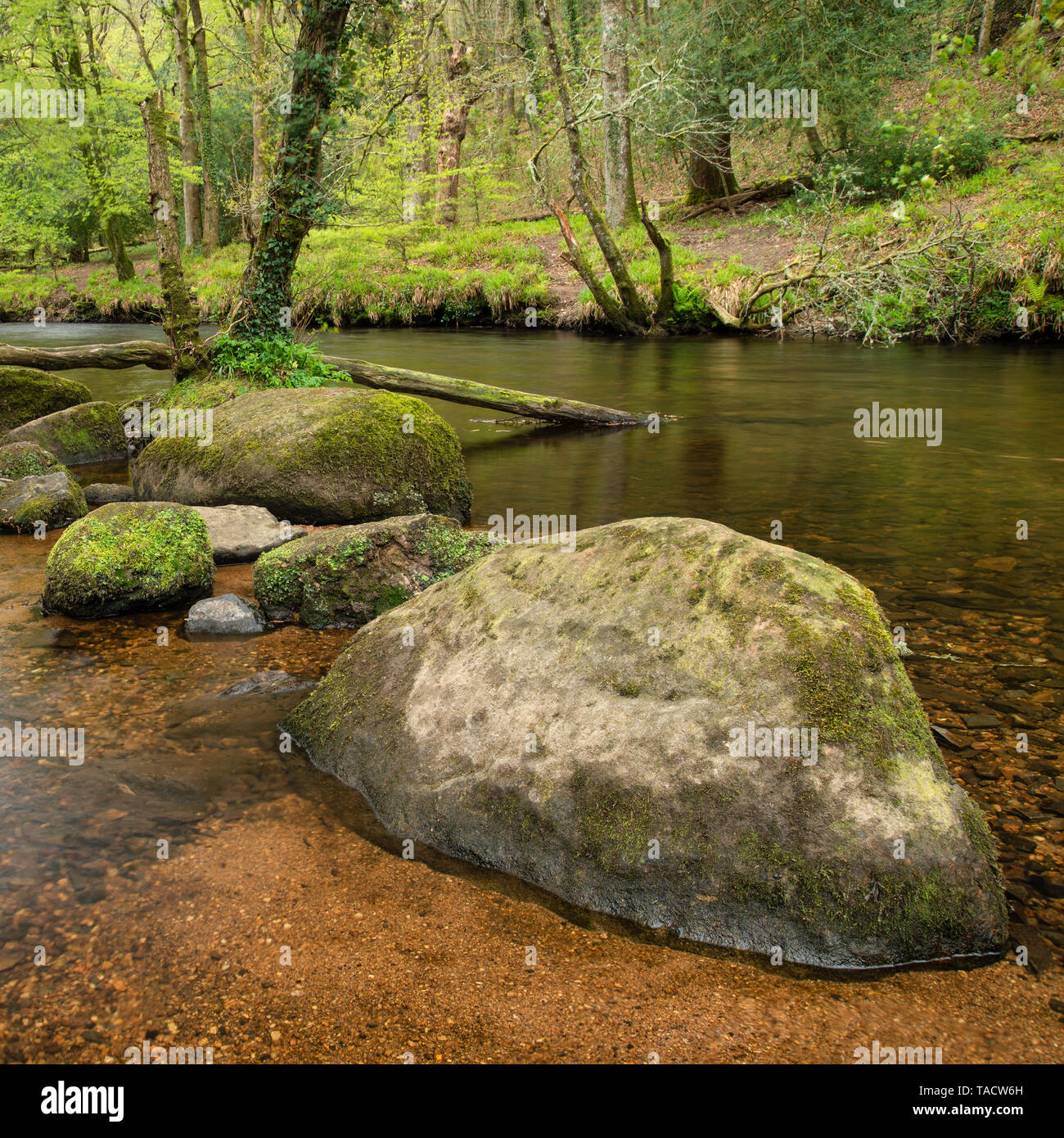 Beautiful Spring landscape image of River Teign flowing through lush ...