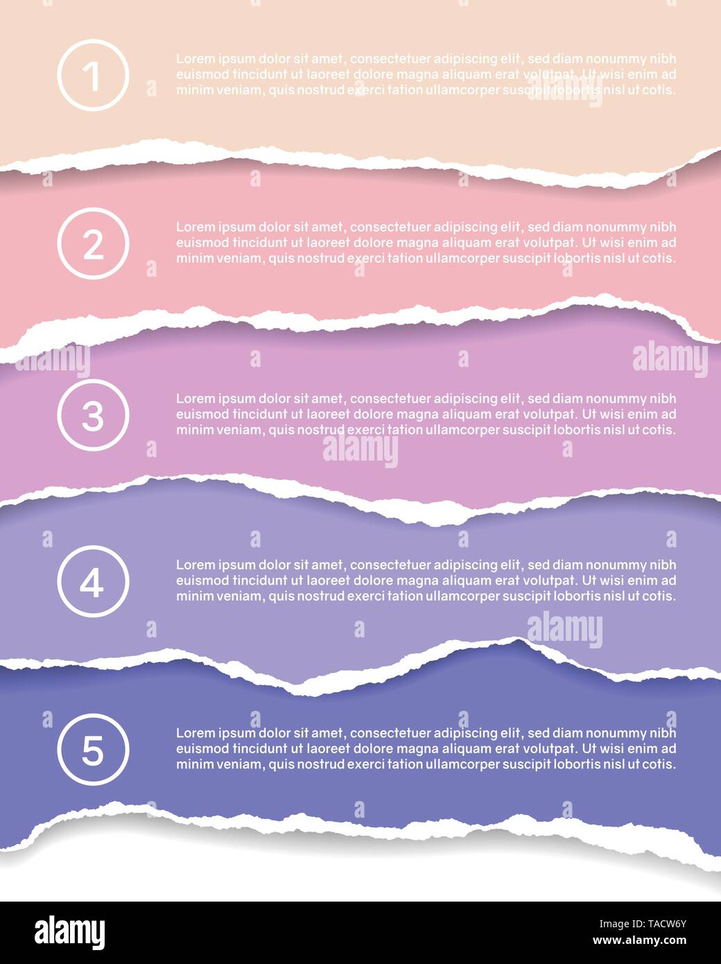 Illustration infographics for five steps with colorful torn papers ...