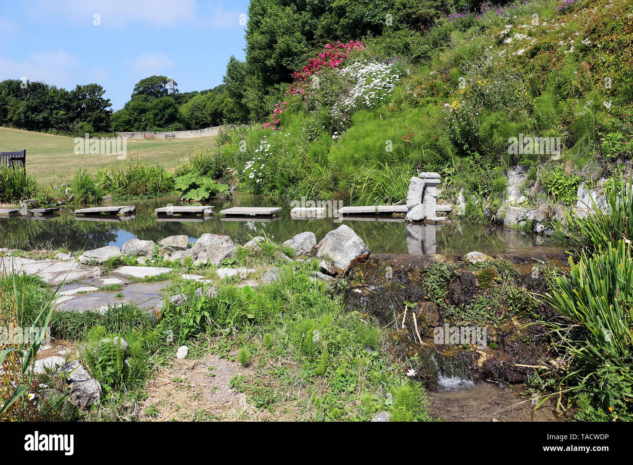 Flowers Brook lies between Ventnor Park and the Botanical Gardens on ...